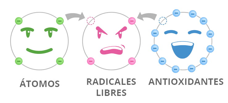 Beneficios y fuentes de los Antioxidantes Naturales